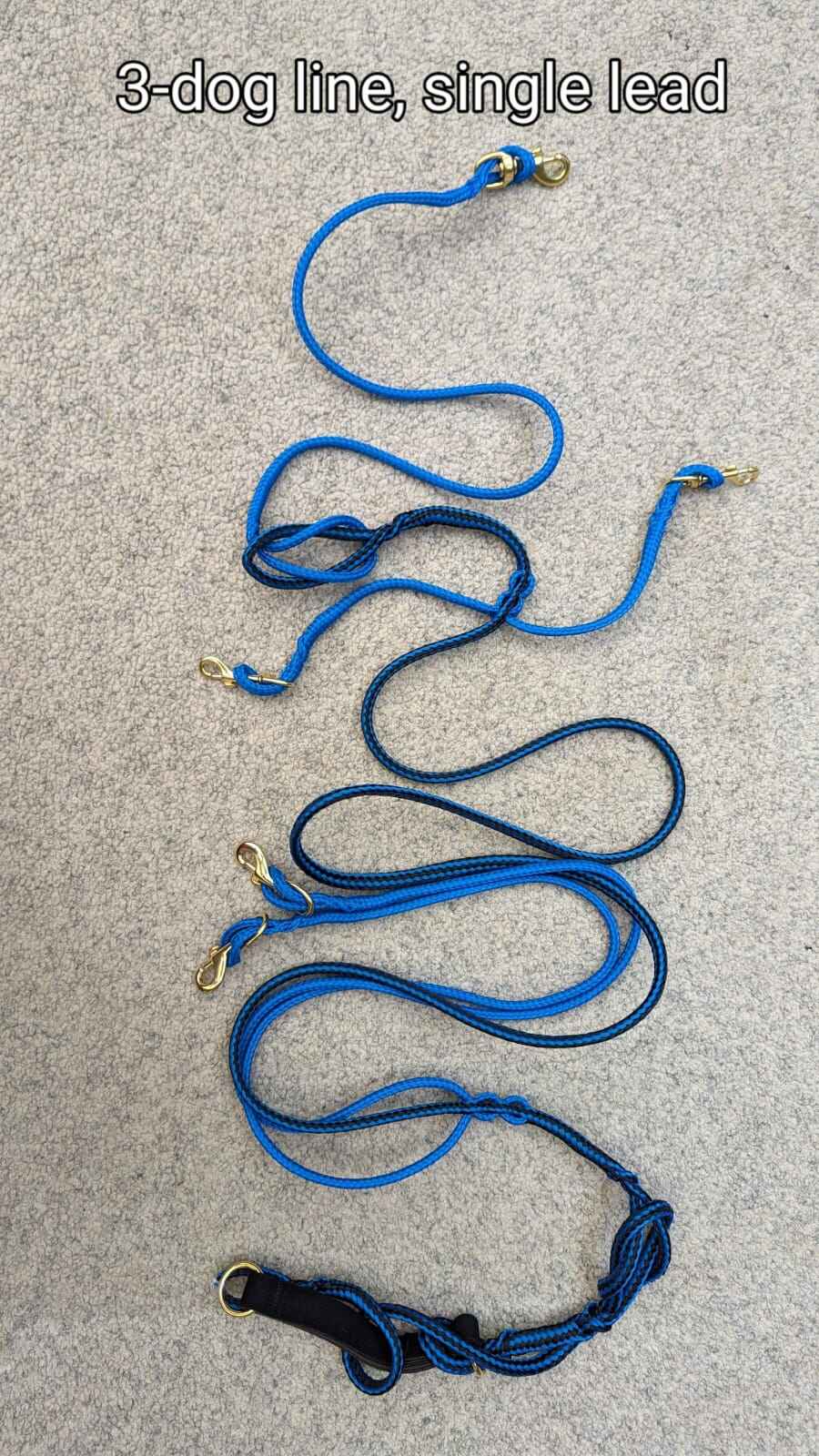 Three Dog Gangline – 1 in lead – SASS-Dog-Equipment