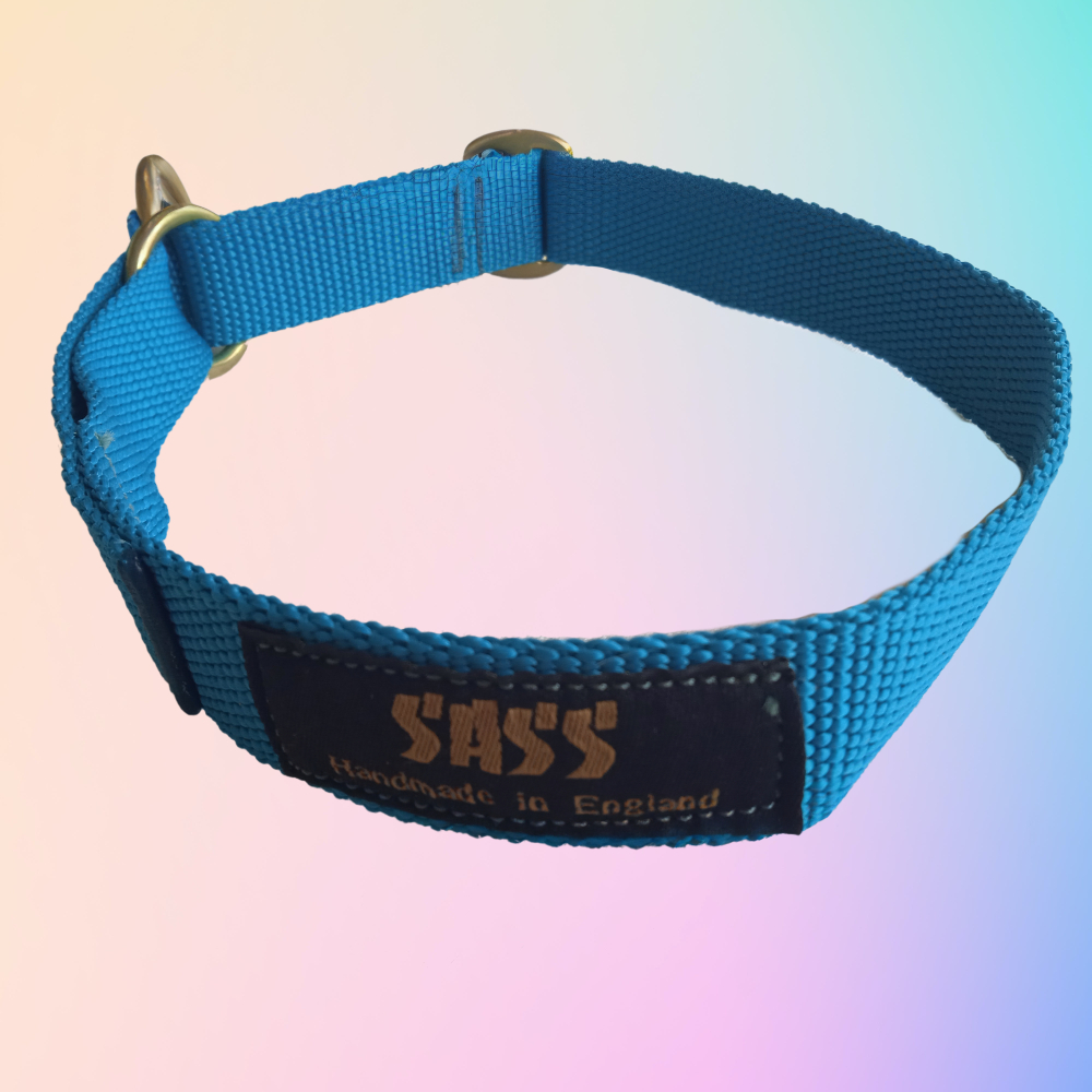 Dog Collars – SASS-Dog-Equipment